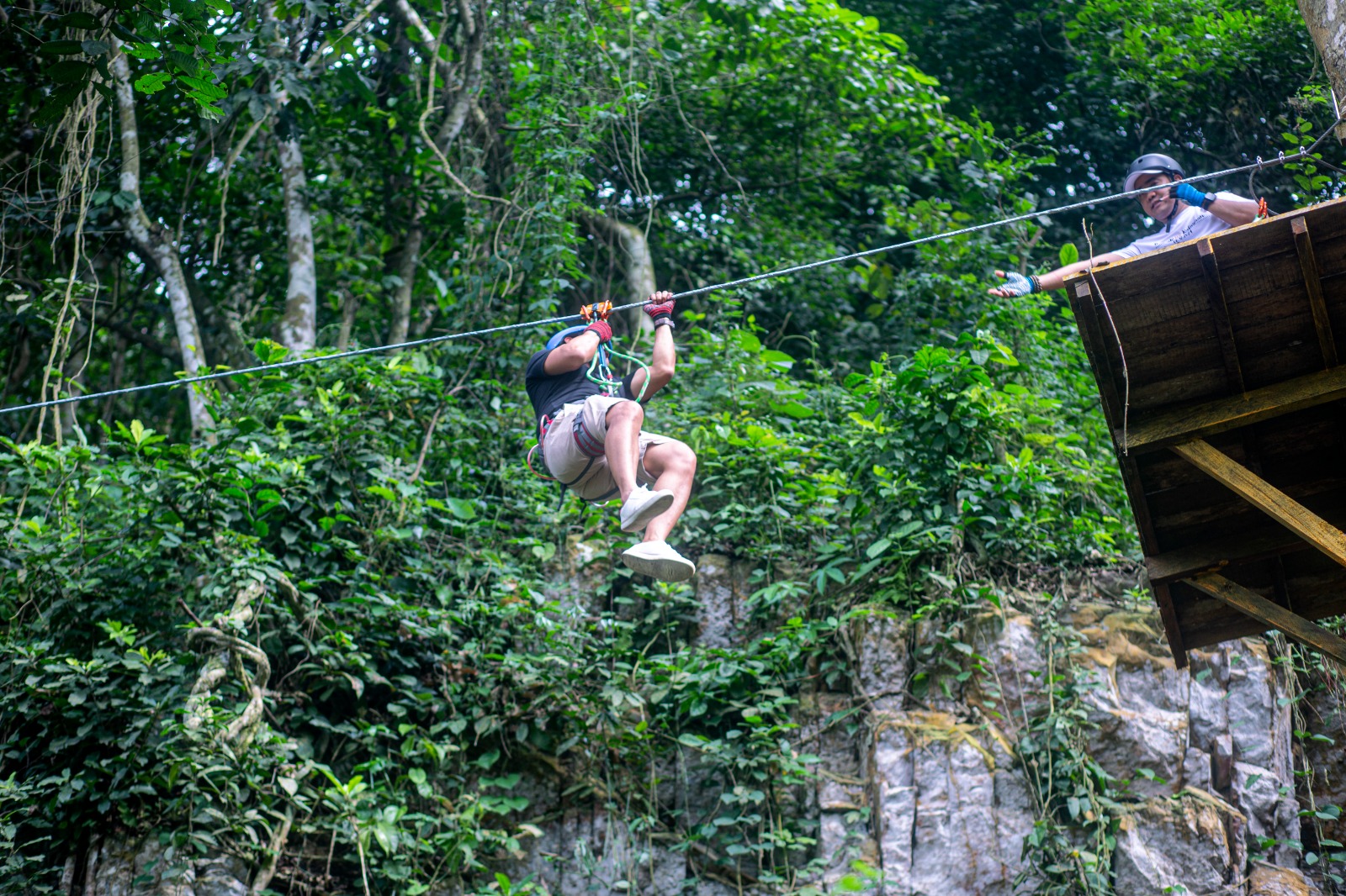 Soaring Through the Trees: The Ultimate Guide to Zipline Adventures ...